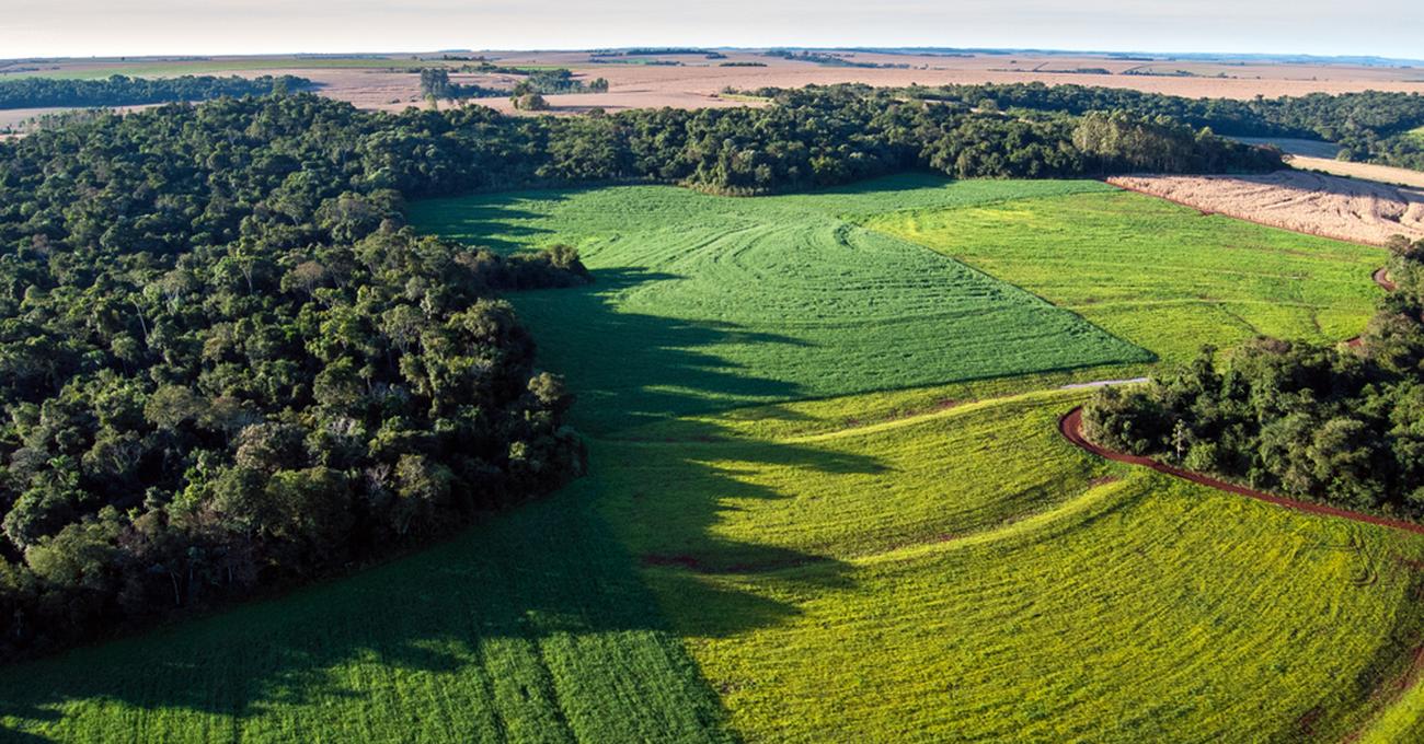 Land Transformation | Mountaineer Land Solutions